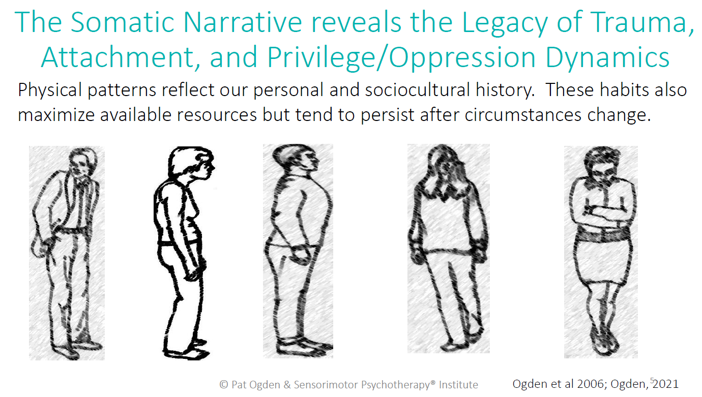Introduction to Sensorimotor Psychotherapy | Mental Health Academy