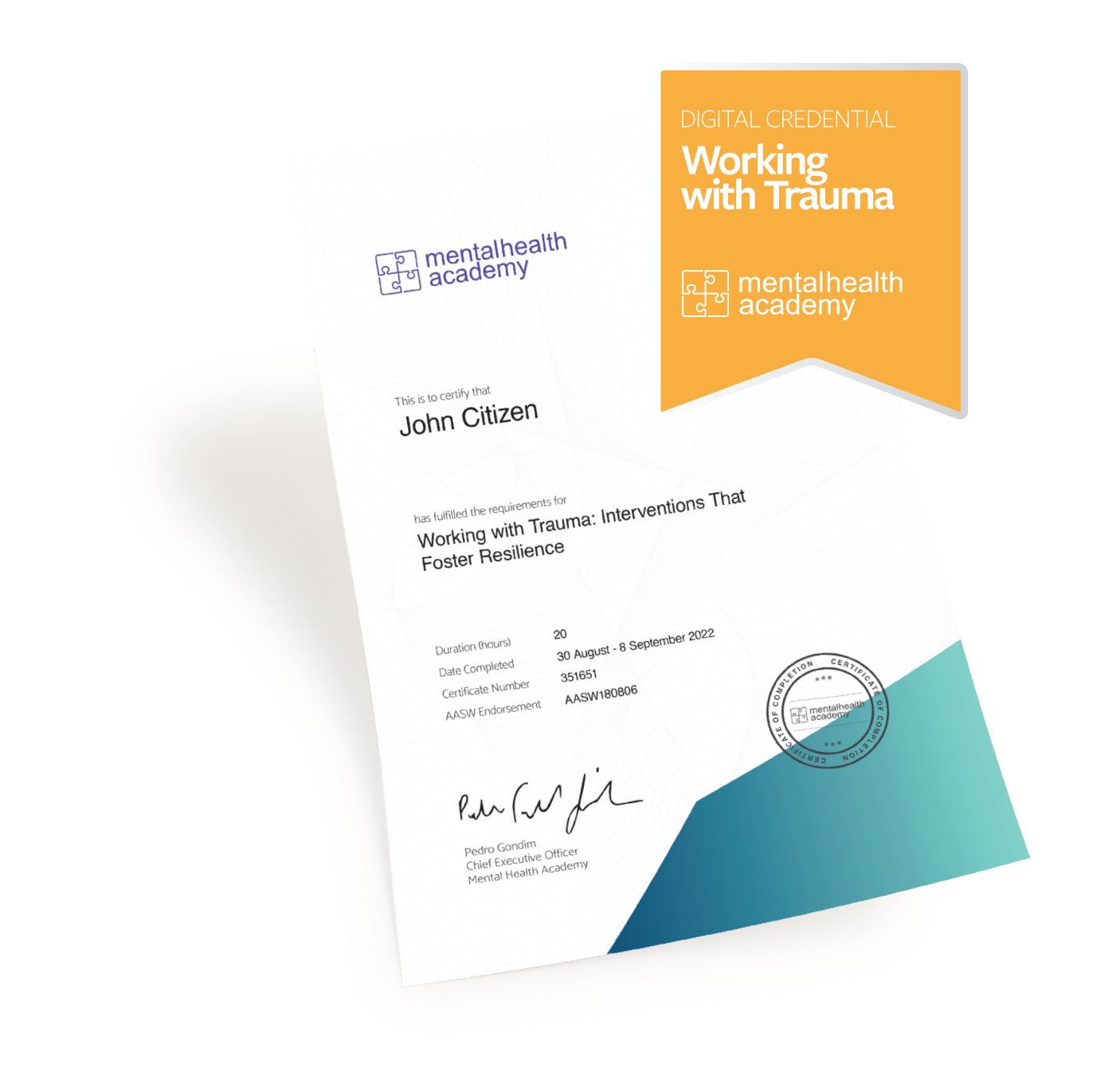 Working with Trauma: Interventions That Foster Resilience | Micro-Credential by Mental Health ...