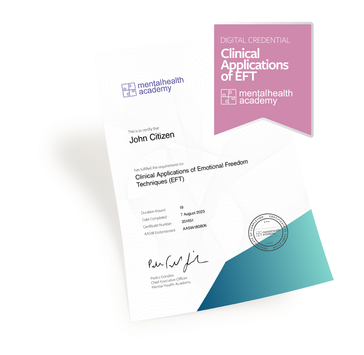 Clinical Applications of Emotional Freedom Techniques | Micro ...